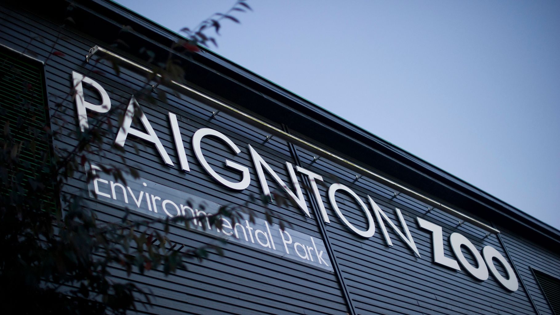 Paignton Zoo reopens after bird flu outbreak | News - Greatest Hits ... Paignton Zoo reopens after bird flu outbreak | News - Greatest Hits ...